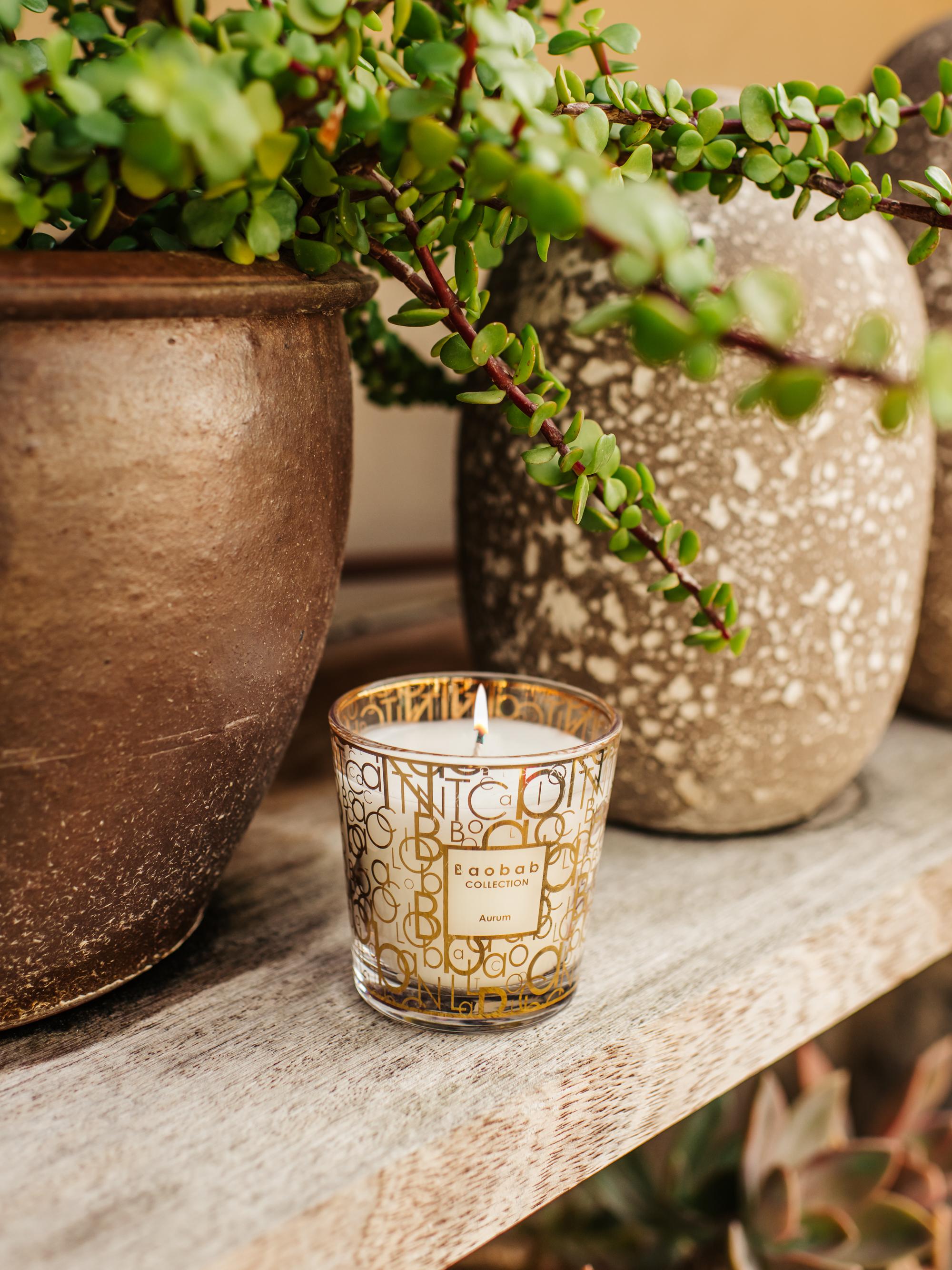 Baobab Collection My First Baobab Aurum Candle | Saks Fifth Avenue