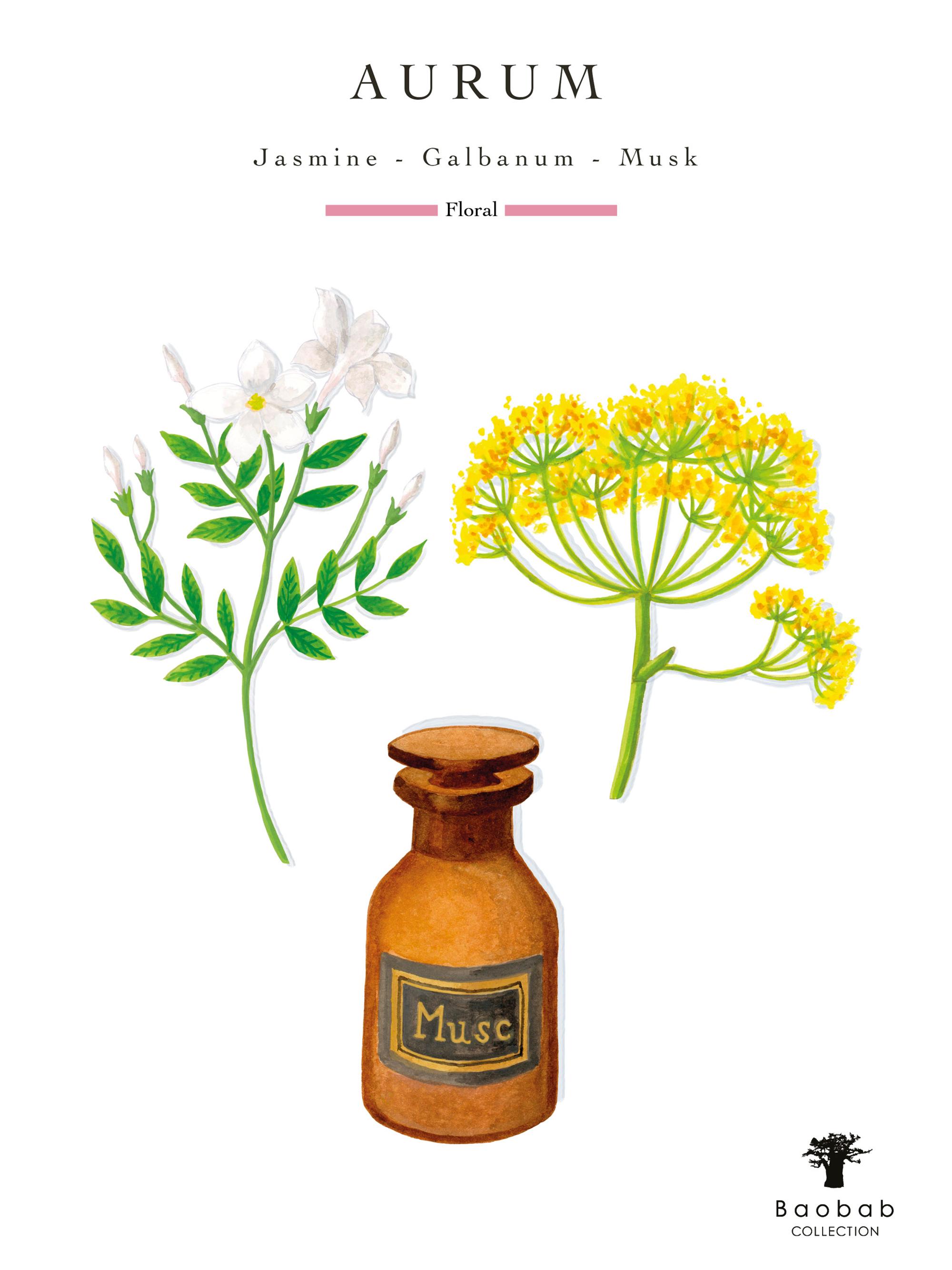 Baobab Collection My First Baobab Aurum Candle | Saks Fifth Avenue
