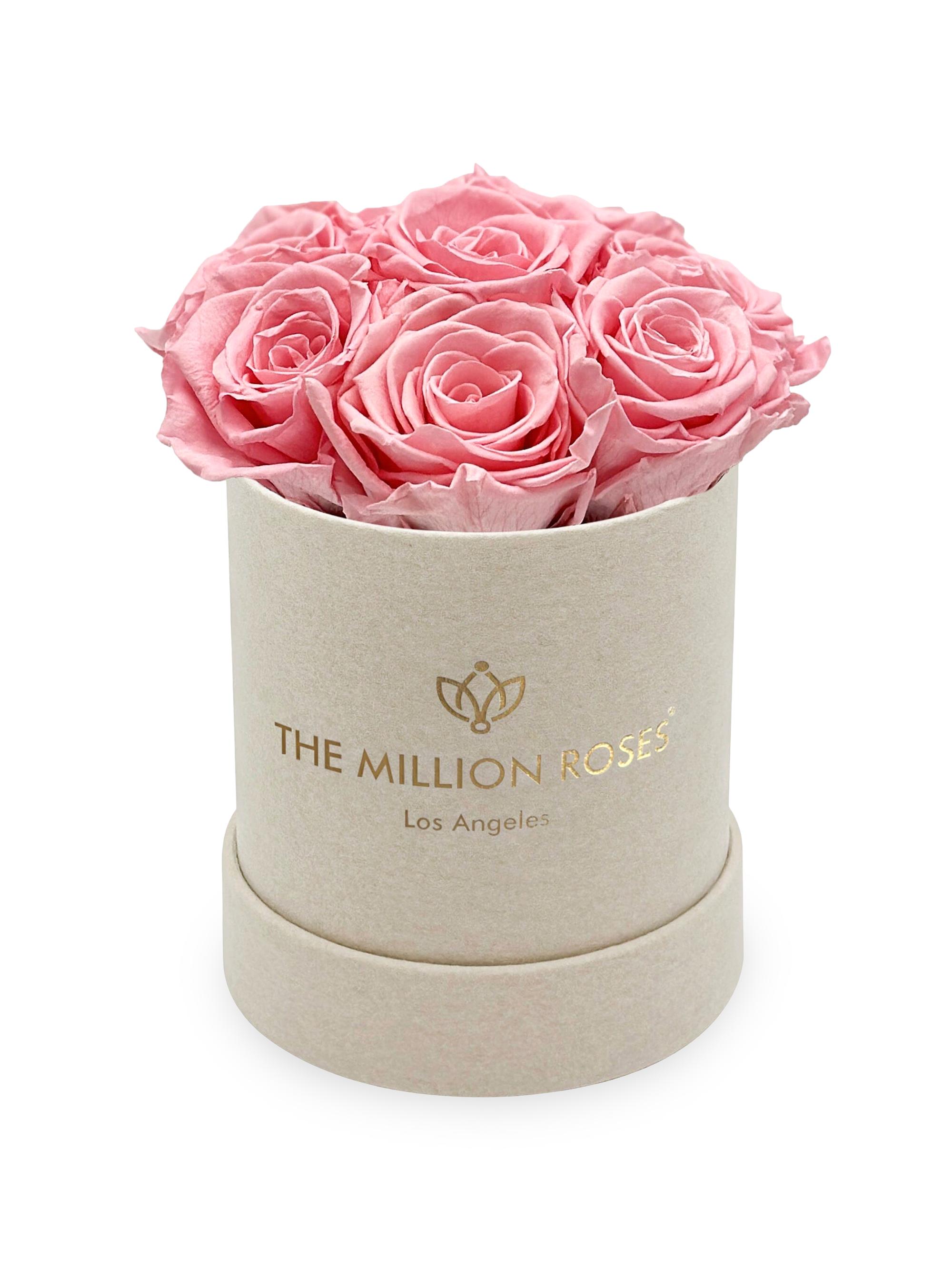 The Million Roses Basic Roses In Suede Box | Saks Fifth Avenue