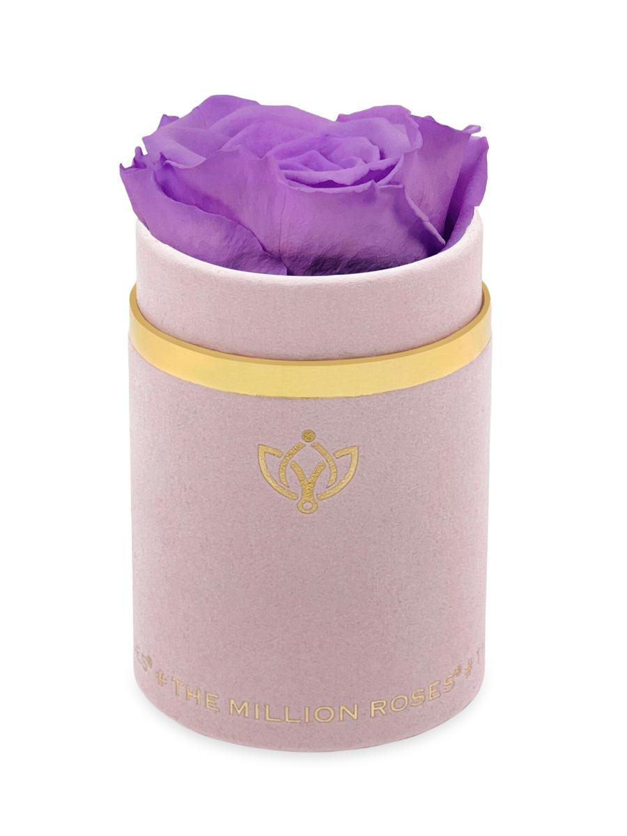 The Million Roses Single Suede Box of Rose | Saks Fifth Avenue