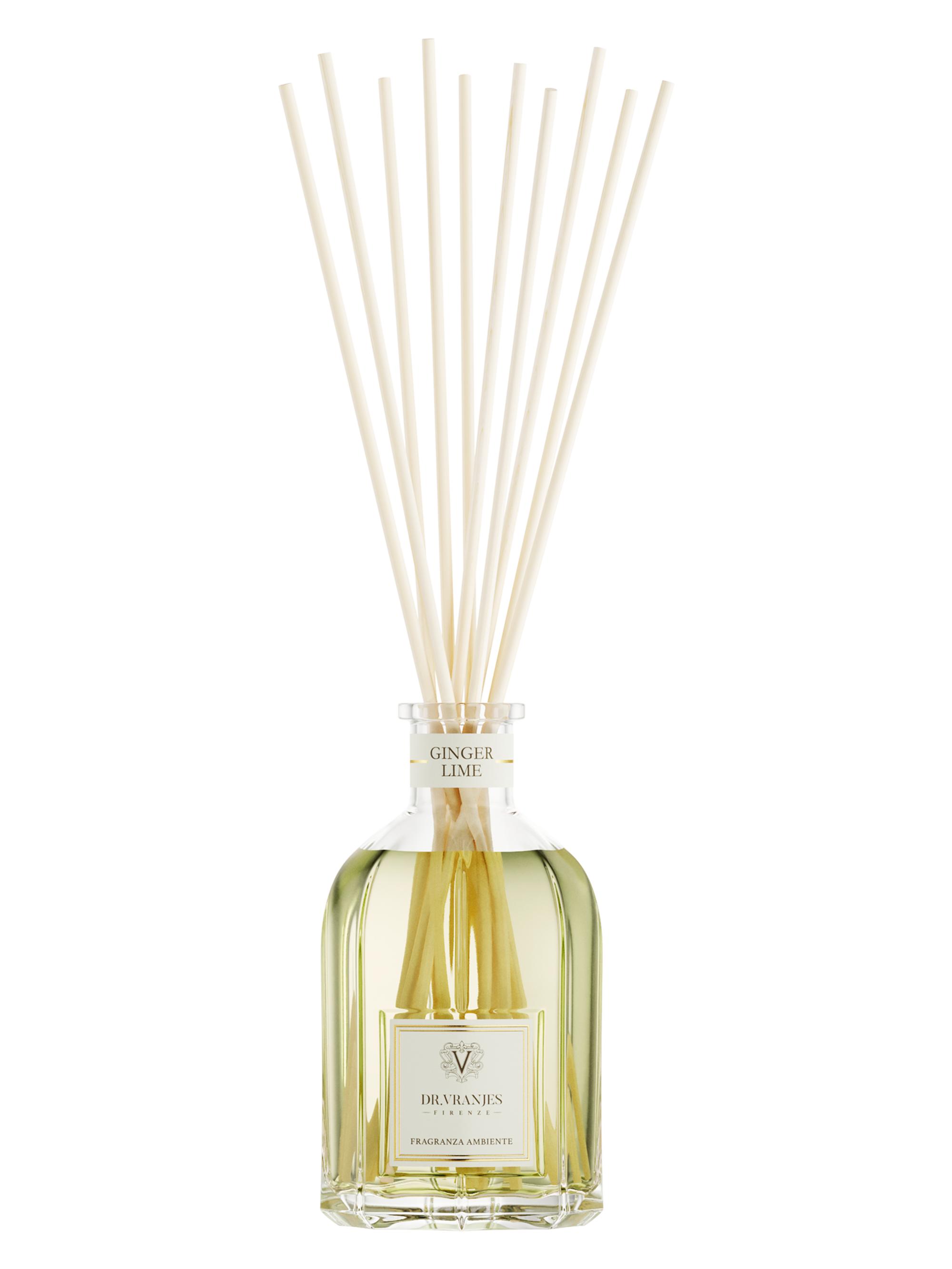 Dr. Vranjes Firenze Ginger Lime Diffuser | Saks Fifth Avenue