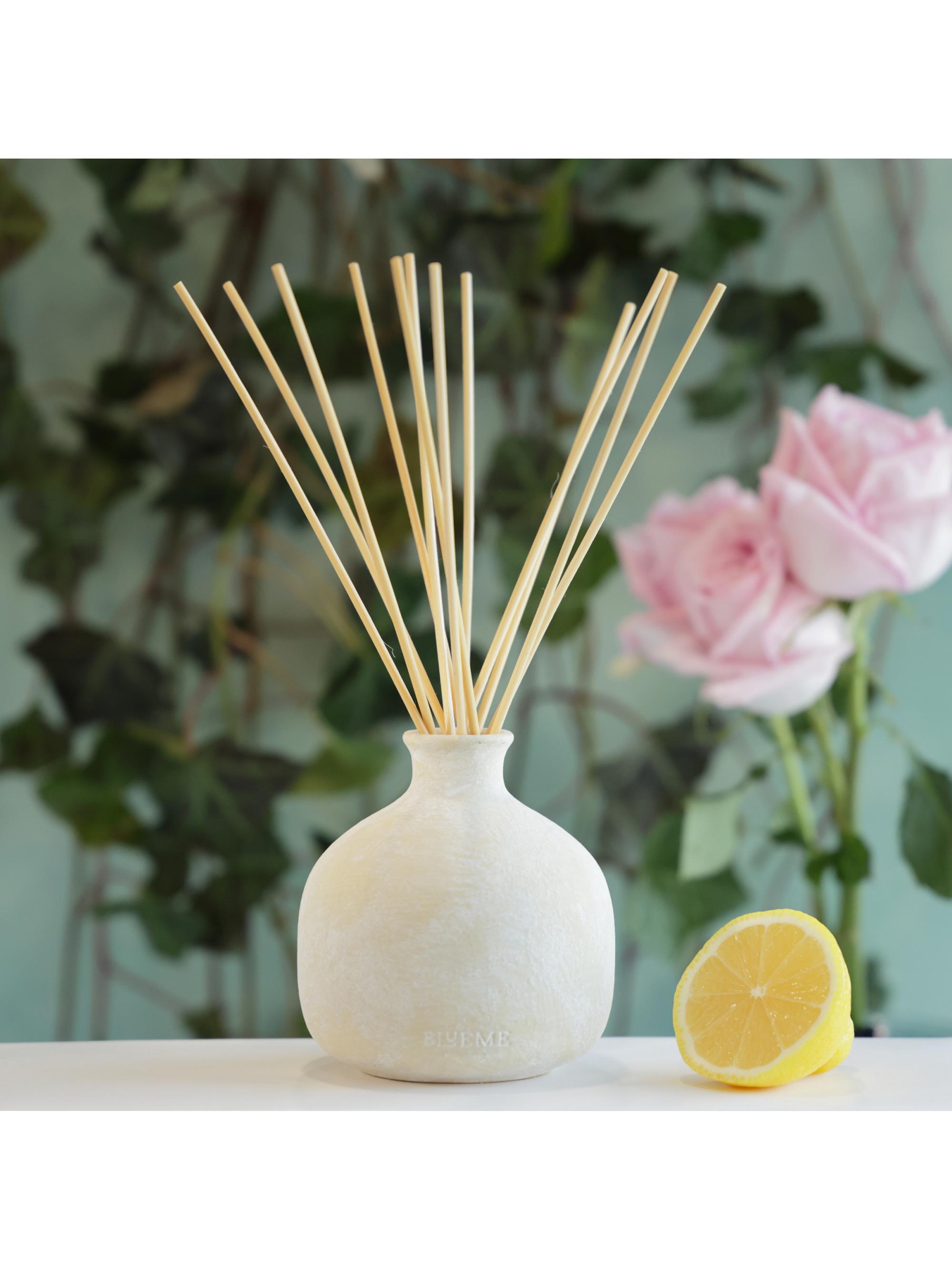 Blueme Renew Ivy & Rose Large Diffuser | Saks Fifth Avenue