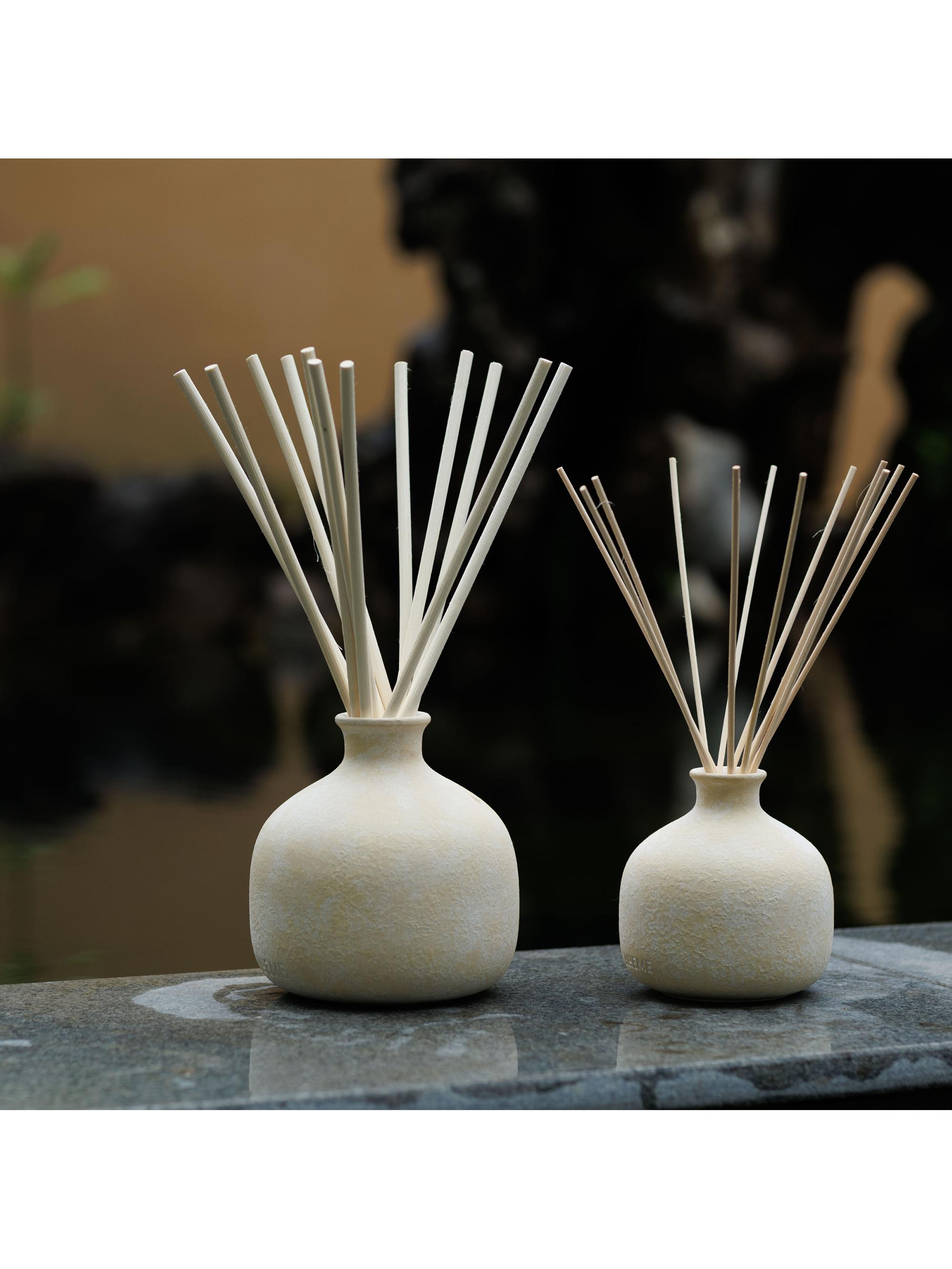 Blueme Renew Ivy & Rose Large Diffuser | Saks Fifth Avenue