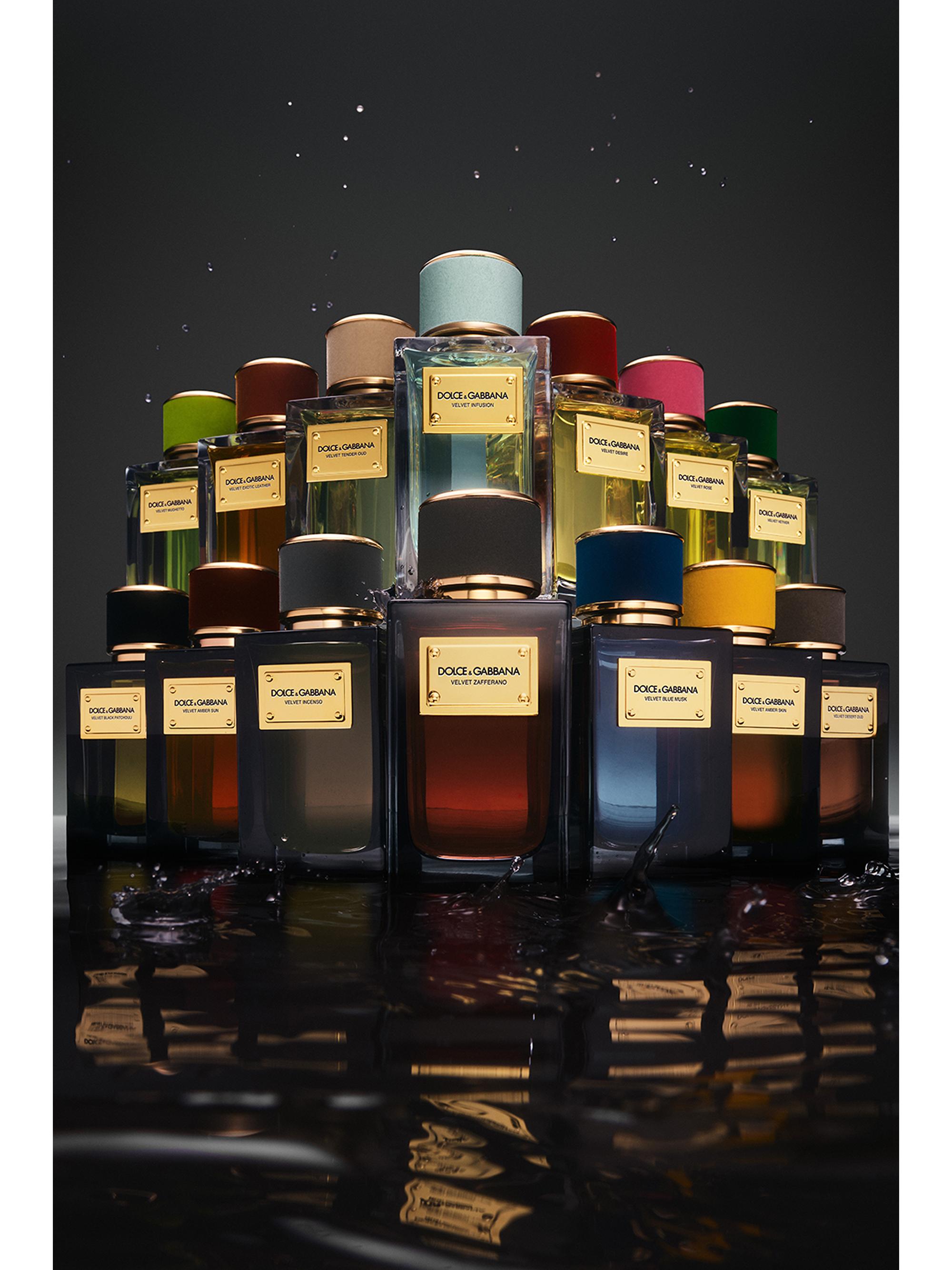 Dolce&Gabbana Velvet Eau de Parfum 14-Piece Discovery Set | Saks Fifth ...