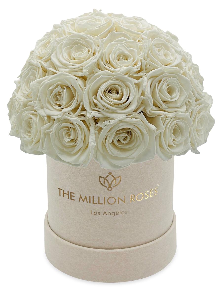 The Million Roses Basic Suede Superdome Box | Saks Fifth Avenue