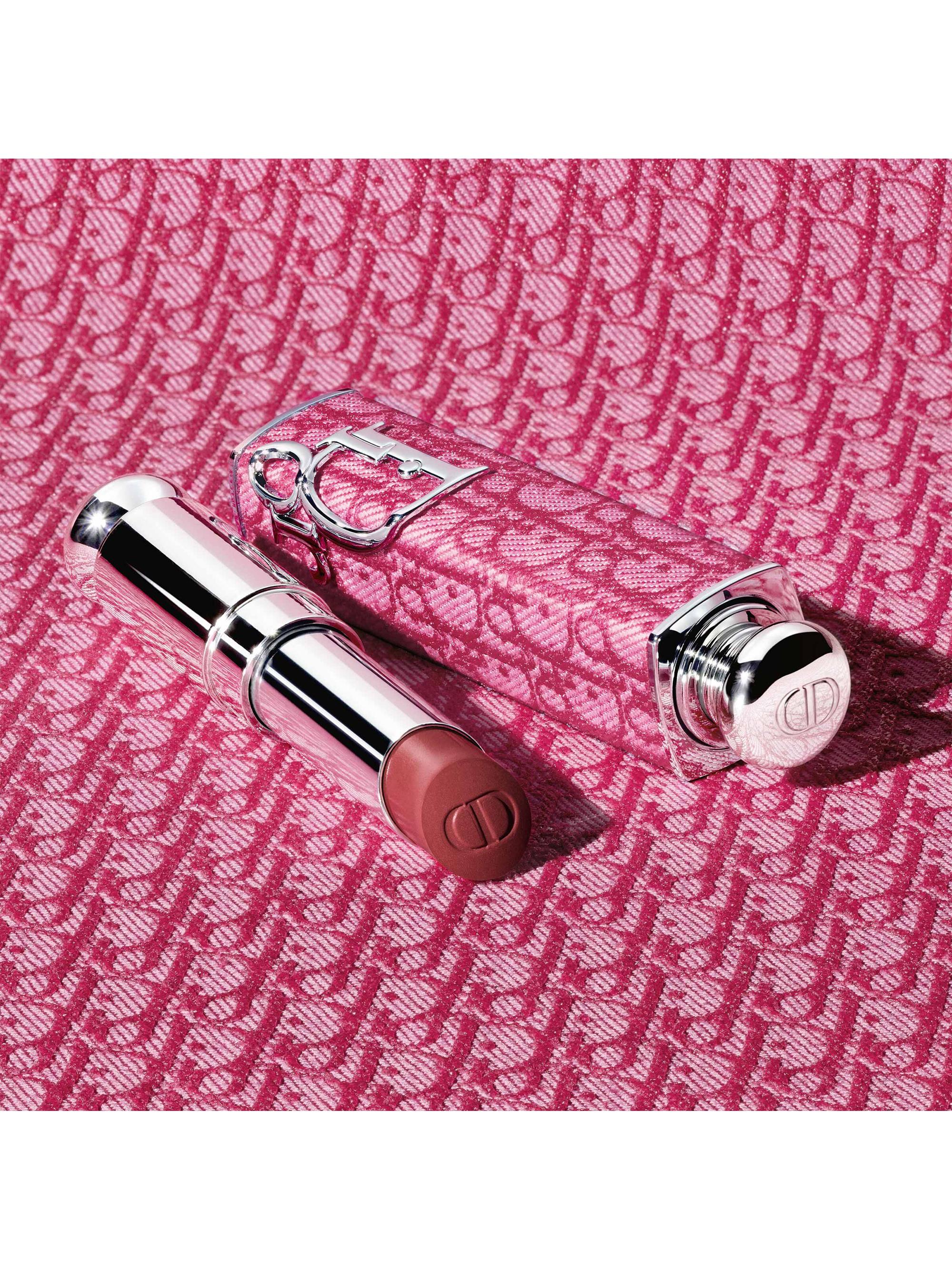 DIOR Dior Addict Refillable Lipstick Case | Saks Fifth Avenue