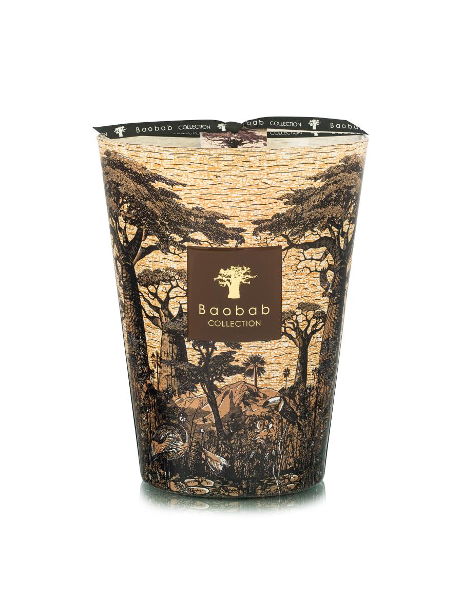 Baobab Collection Sacred Trees Mankono Scented Candle | Saks Fifth Avenue